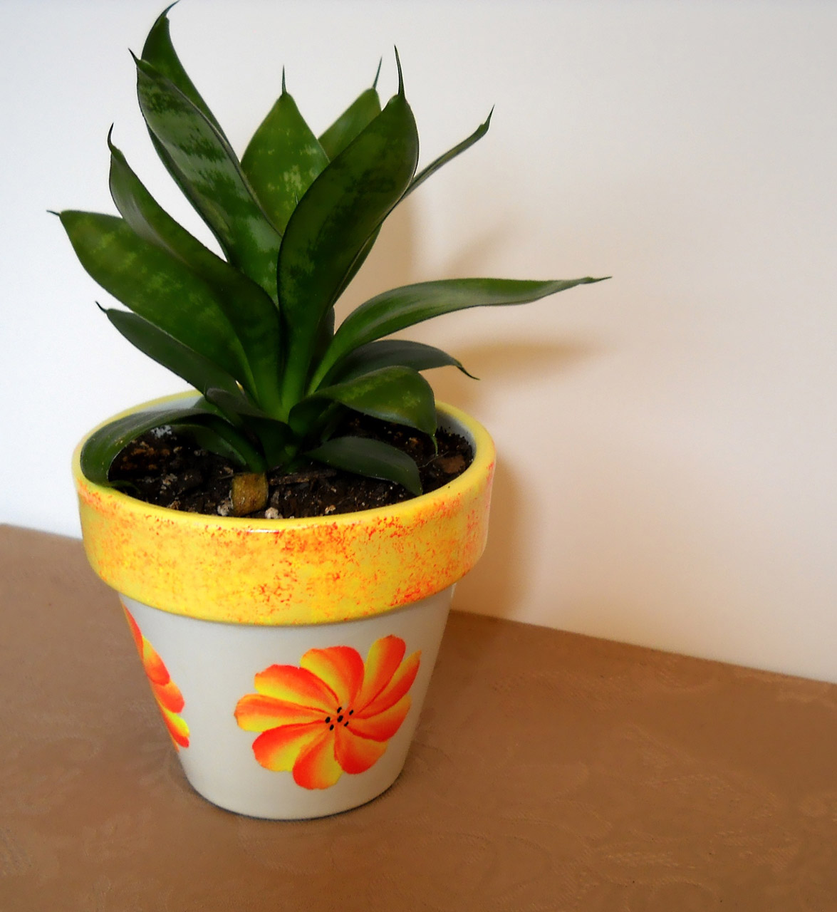 Moving Your Plants To Your New Home Bekins Moving Your Plants To Your New Home Bekins